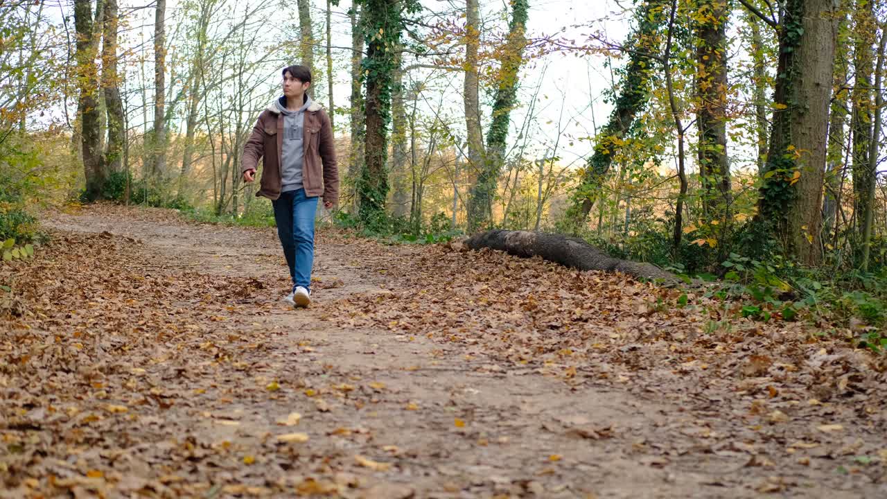 Premium stock video - Single lonely man in forest