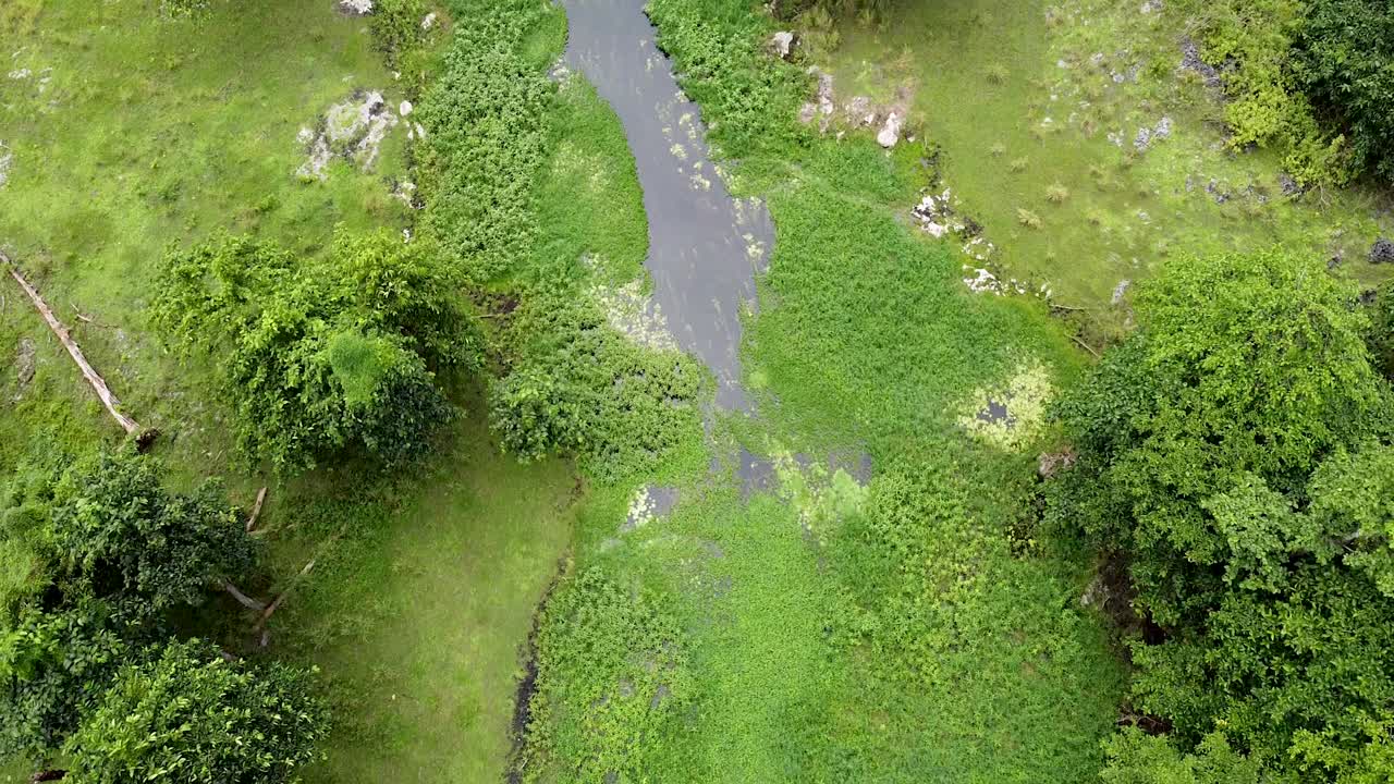 Reversing Down Green Landscape Of Stream River Waterway In Remote ...