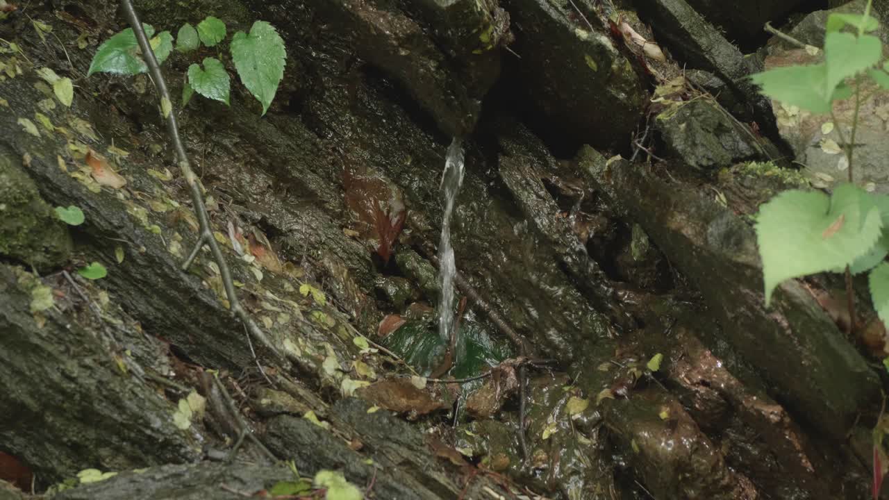 Premium stock video - Water dribbling to the wissahickon creek