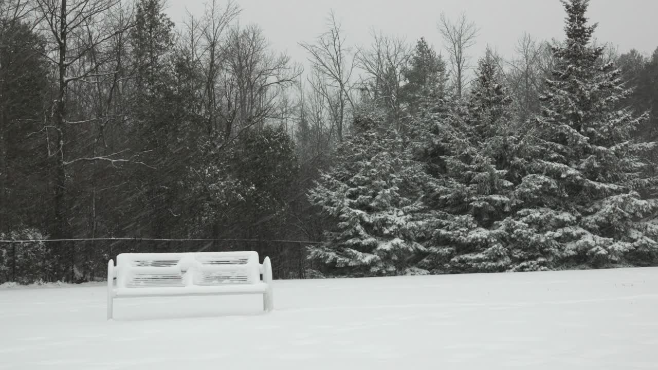 Park Bench In Suburbs Forest Backdrop Heavy Snowfall Environment ...