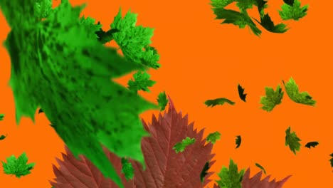 Free Leaves Animation videos in HD and 4K to download | Freepik