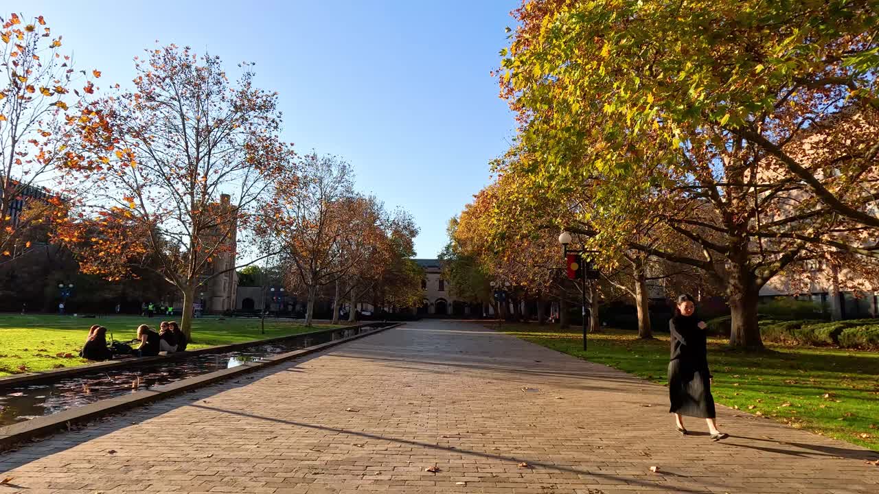 Students walking through campus on a sunny day | Premium Stock Video ...