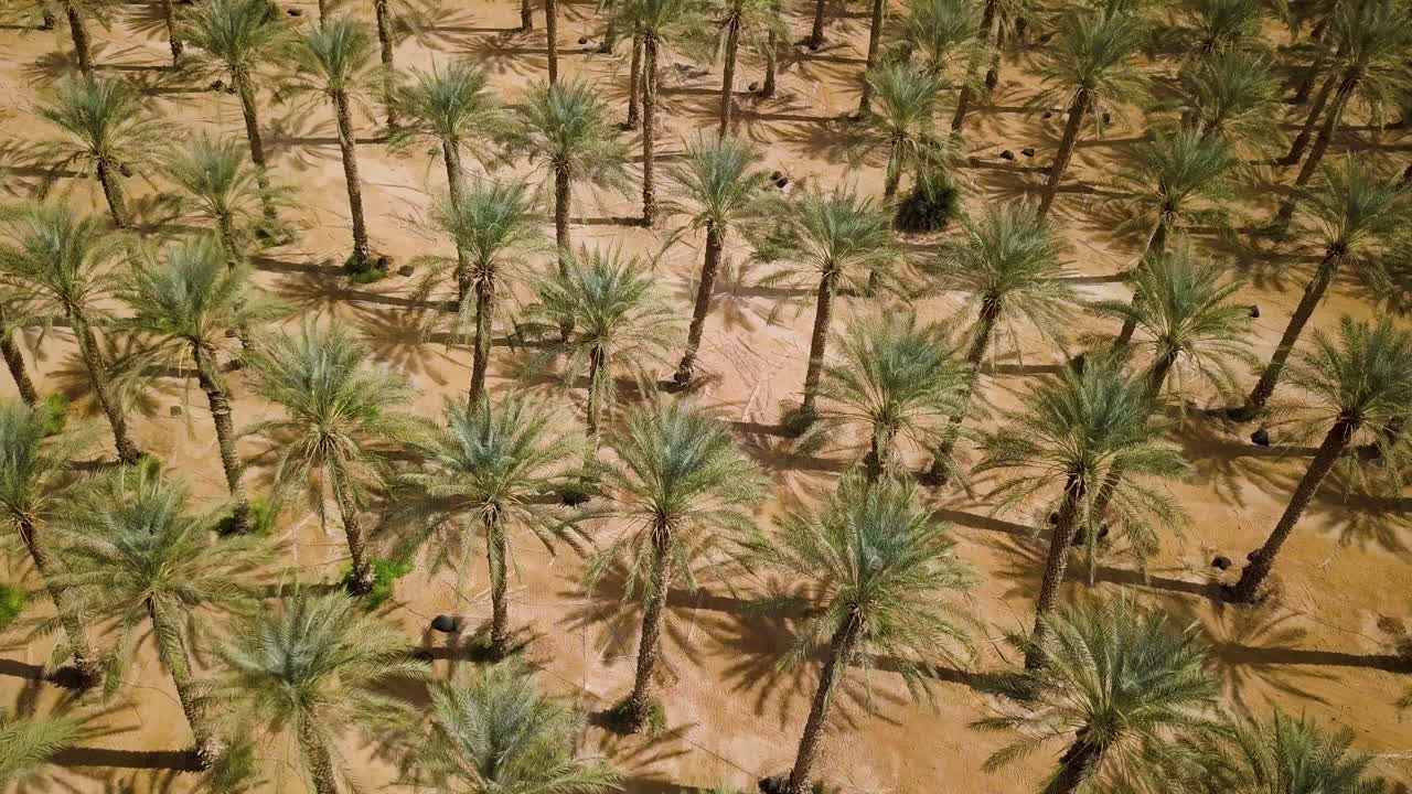 Beautiful aerial shot of arava desert in israel overlooking agriculture ...